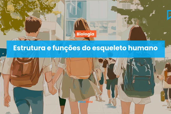 Homeostase: entenda o equilíbrio do corpo humano com exemplos